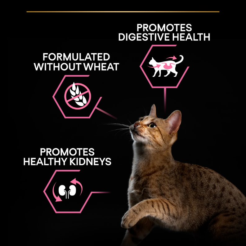 Purina Pro Plan Cat Adult Delicate Optidigest® Turkey | Dyrekassen
