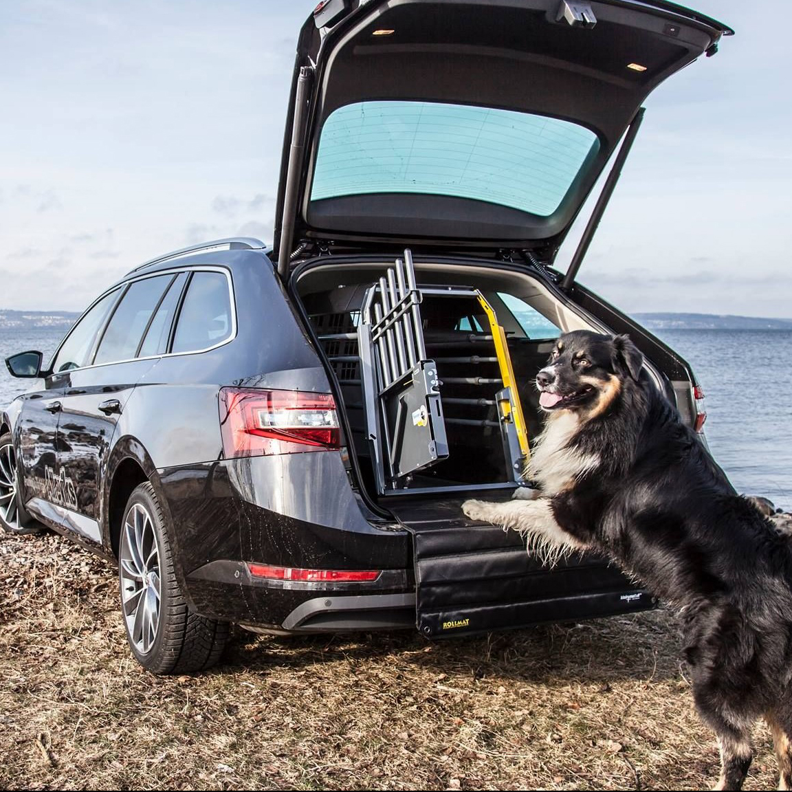 MimSafe VarioCage Original Single - Robust Hundbur till Bil, Single ...