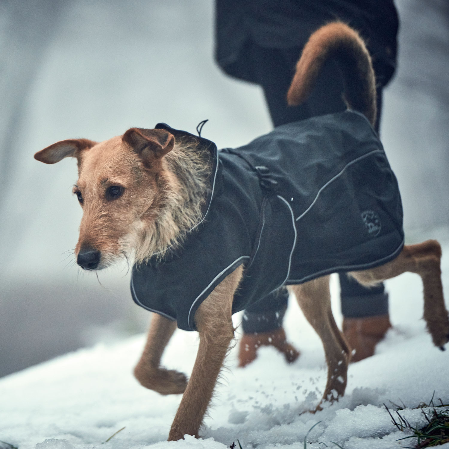 Hunter Uppsala fleeceforet softshell hundedekken - Kjøp nå!