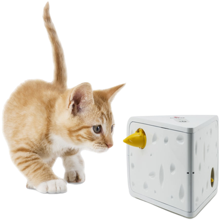 FroliCat Bærbar, automatisk katteteaser med ost 1 stk. | Dyrekassen