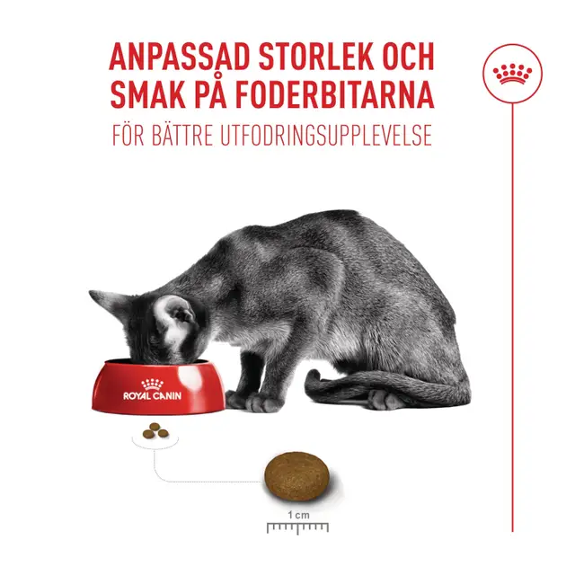 Royal Canin FHN Fussy Tørrfôr for katter | Dyrekassen