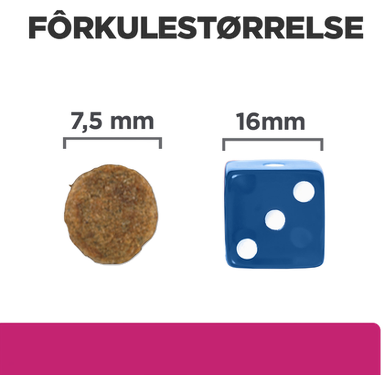 Hill's Prescription Diet Dog GI Biome Mini | Dyrekassen