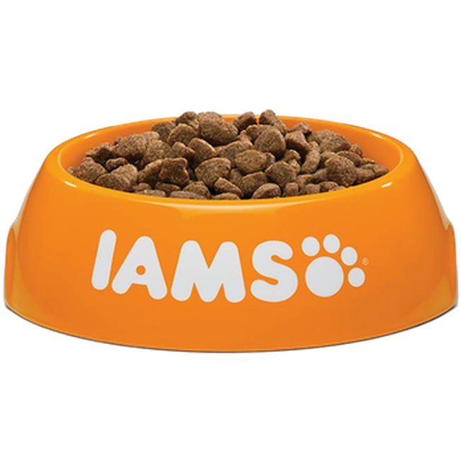 Iams Cat Adult New Zealand Lamb & Chicken Orange 10 kg | Dyrekassen