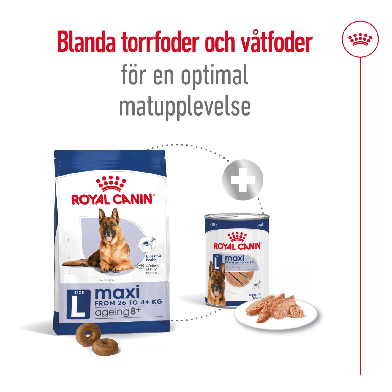 Royal Canin Maxi Ageing 8+ Ageing tørrfôr for hunder 15 kg | Dyrekassen
