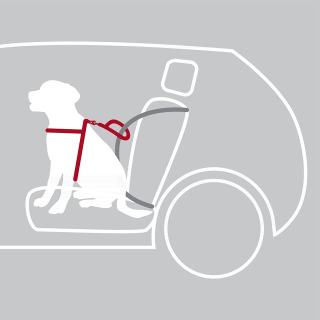Trixie Bilsele Dog Protect – bilsele för hund | ZOO.se