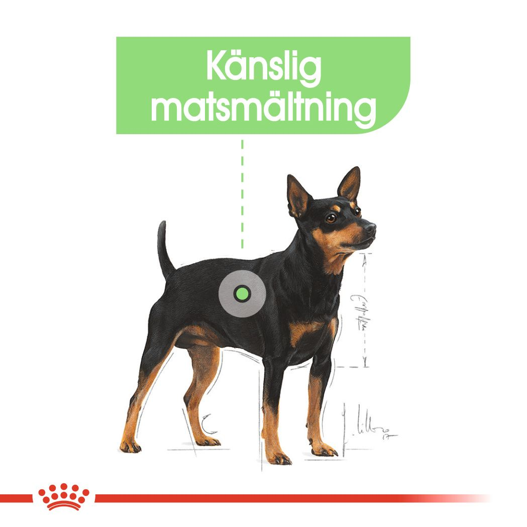 Royal Canin Wet Digestive Care Våtfôr for hunder 85 g x 12 stk | Dyrekassen